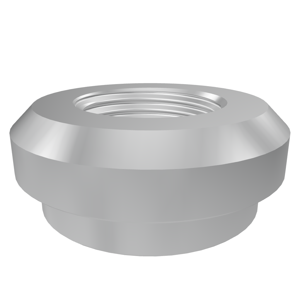 Bsp Weld in socket Aluminium – CD customs